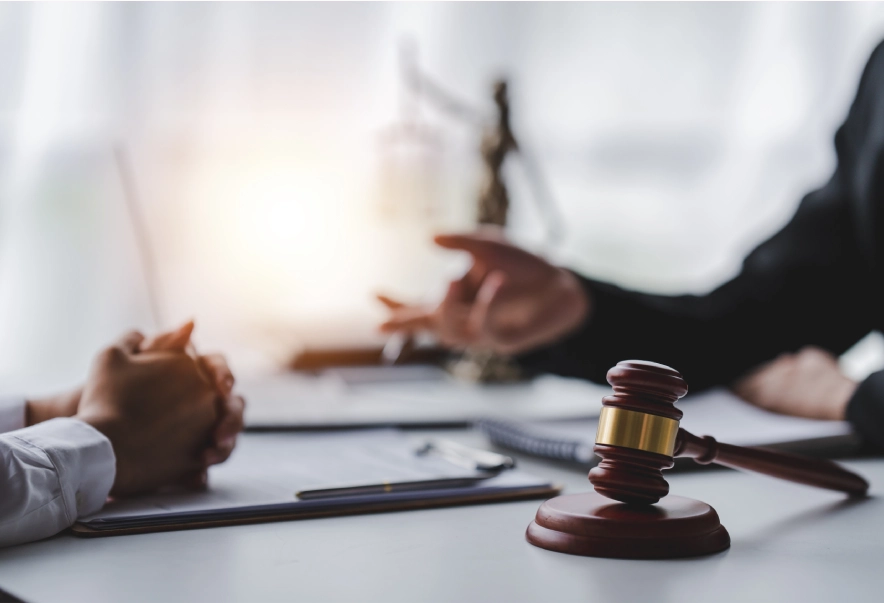 Employment Law Services for Law Firms and Attorneys- LSW